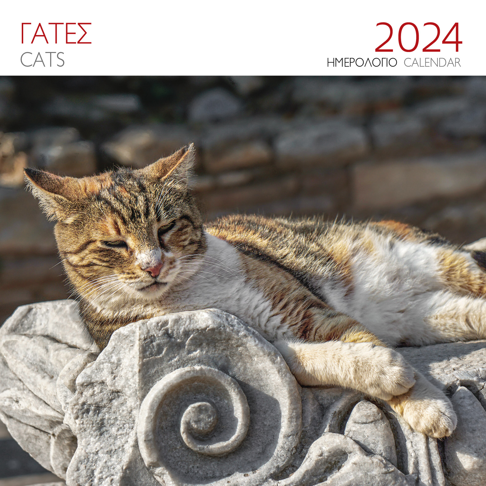 ΗΜΕΡΟΛΟΓΙΟ 2024 ( ΤΟΙΧΟΥ) : ΓΑΤΕΣ - ΚΑΦΕ | Filinda Marketplace